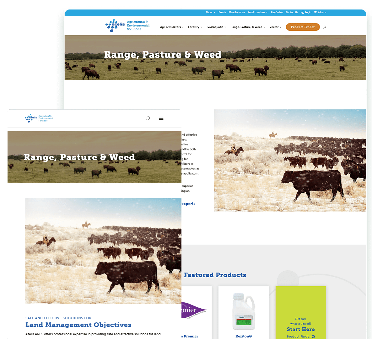 Freshy + Azelis A&ES | Case Study