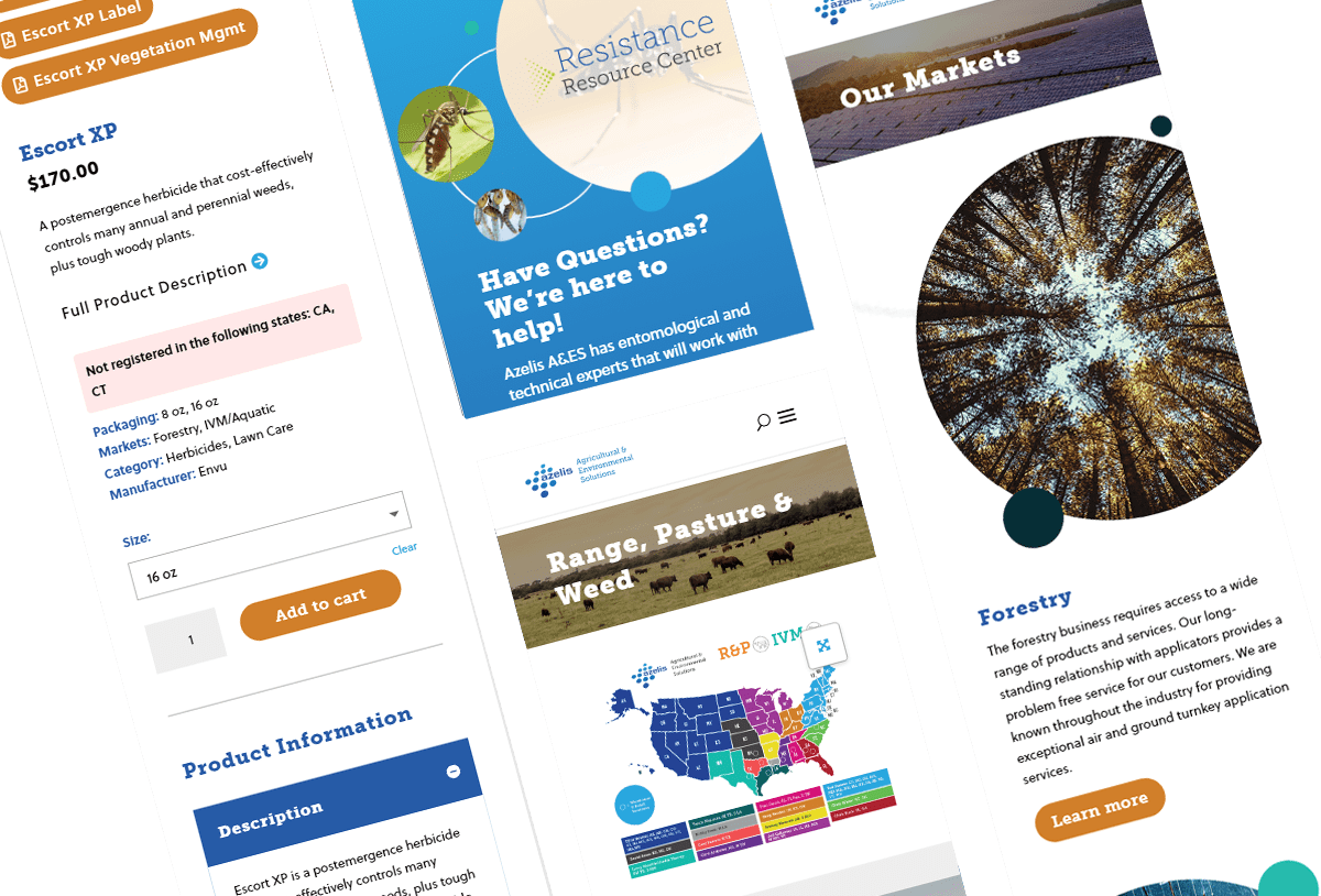 Freshy + Azelis A&ES | Case Study