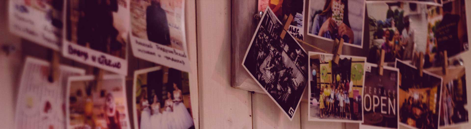 Organize Your WordPress Media Library Folders with FileBird | Freshy