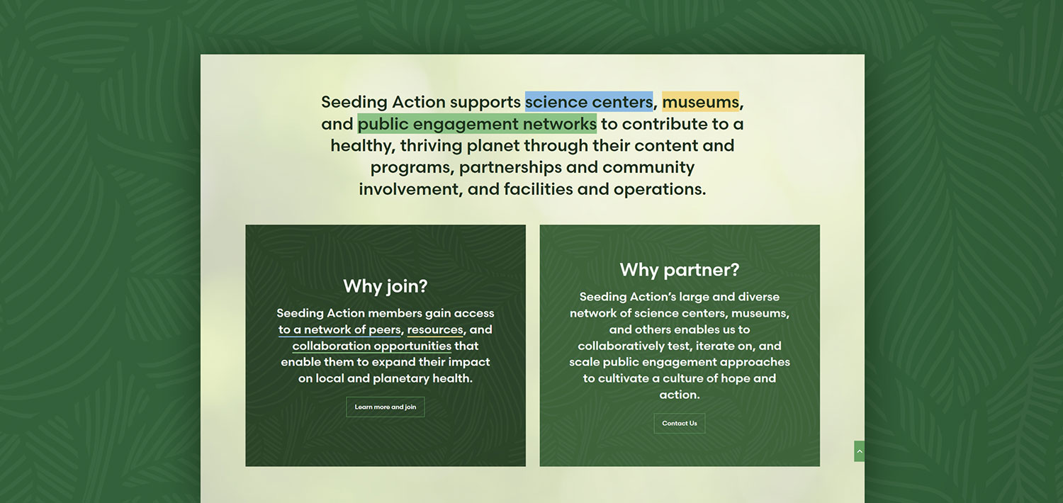 Freshy + Seeding Action | Case Study