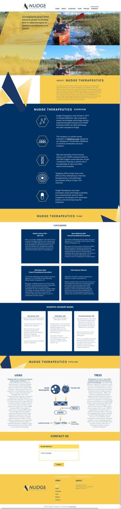 A beginner’s glossary to links and navigating the internet | Freshy