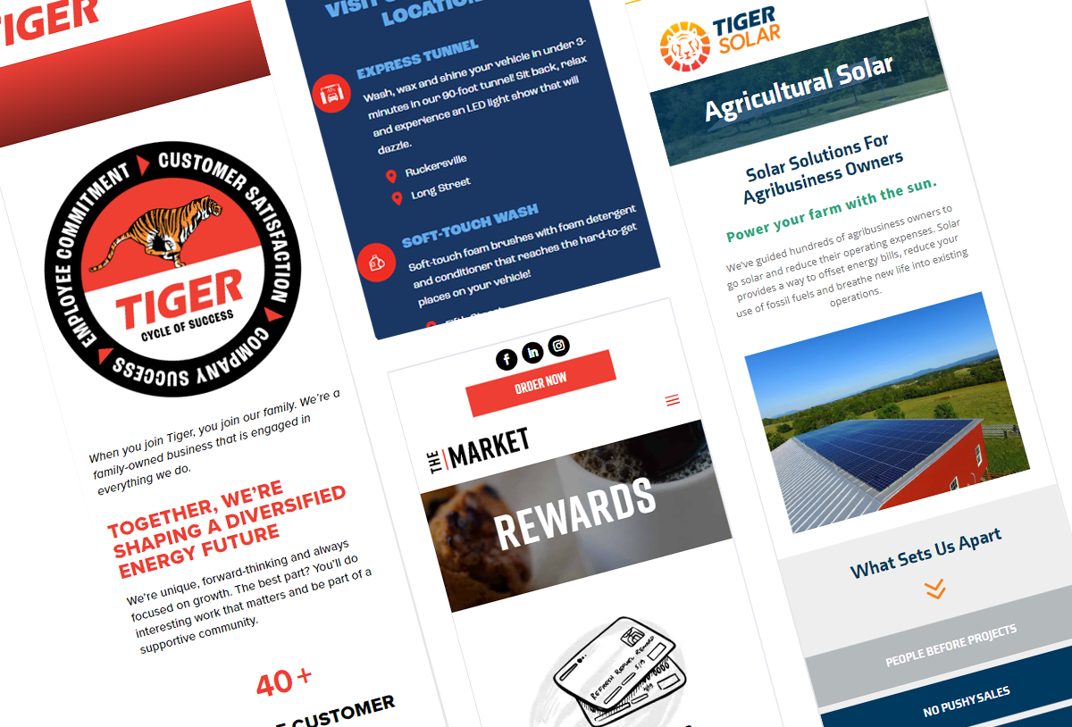 Freshy + Tiger | Case Study